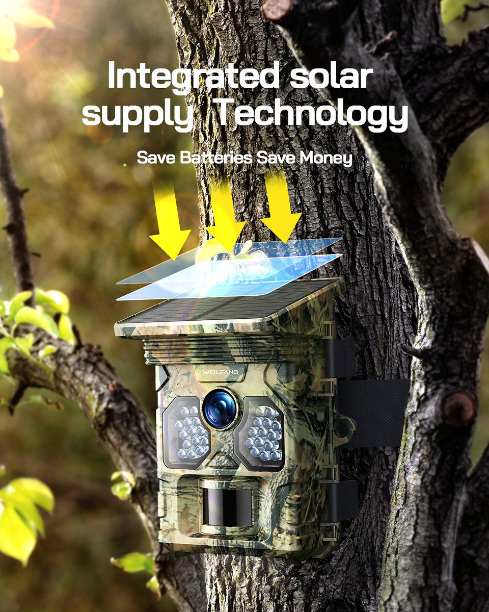 WT02 – WOLFANG Official