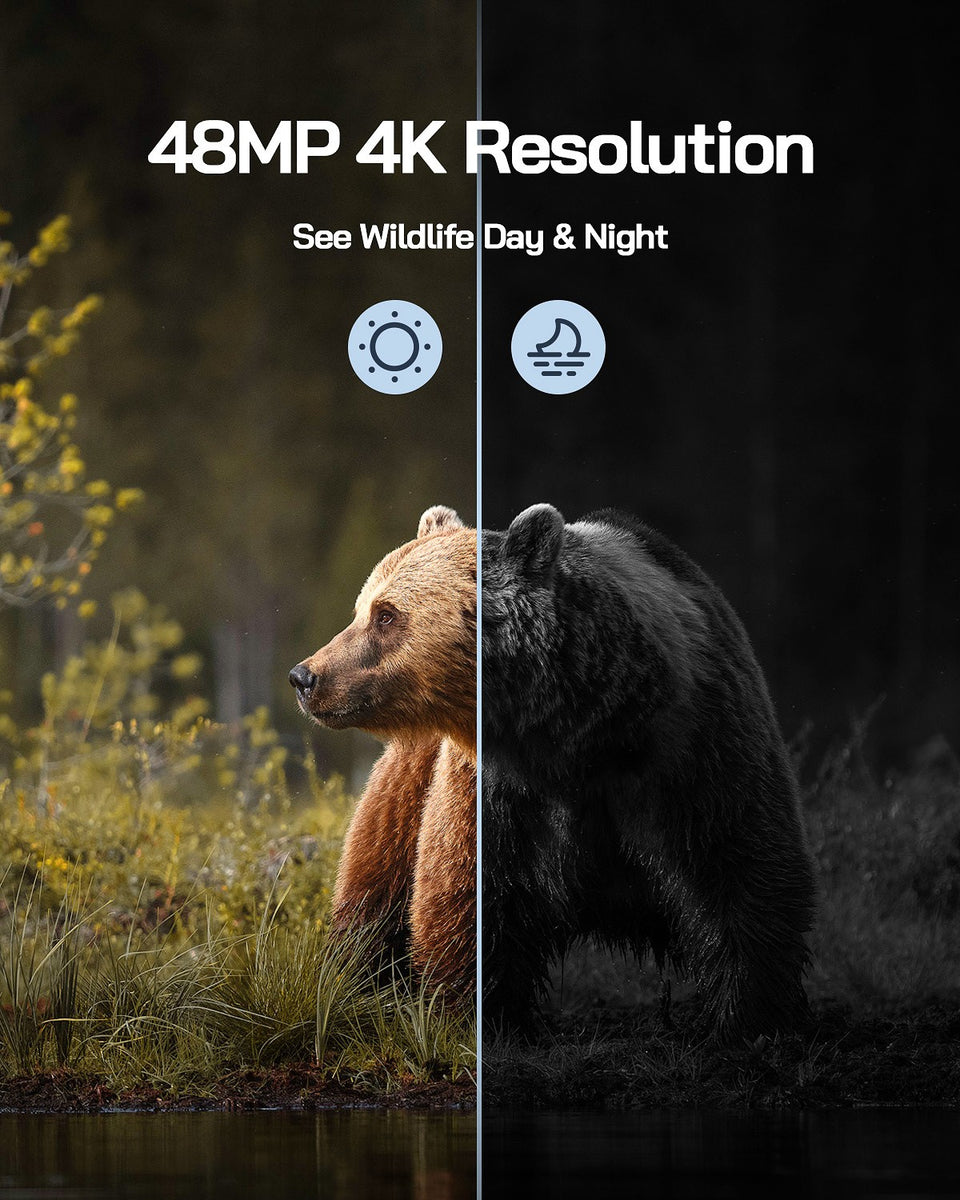 WT02 – WOLFANG Official