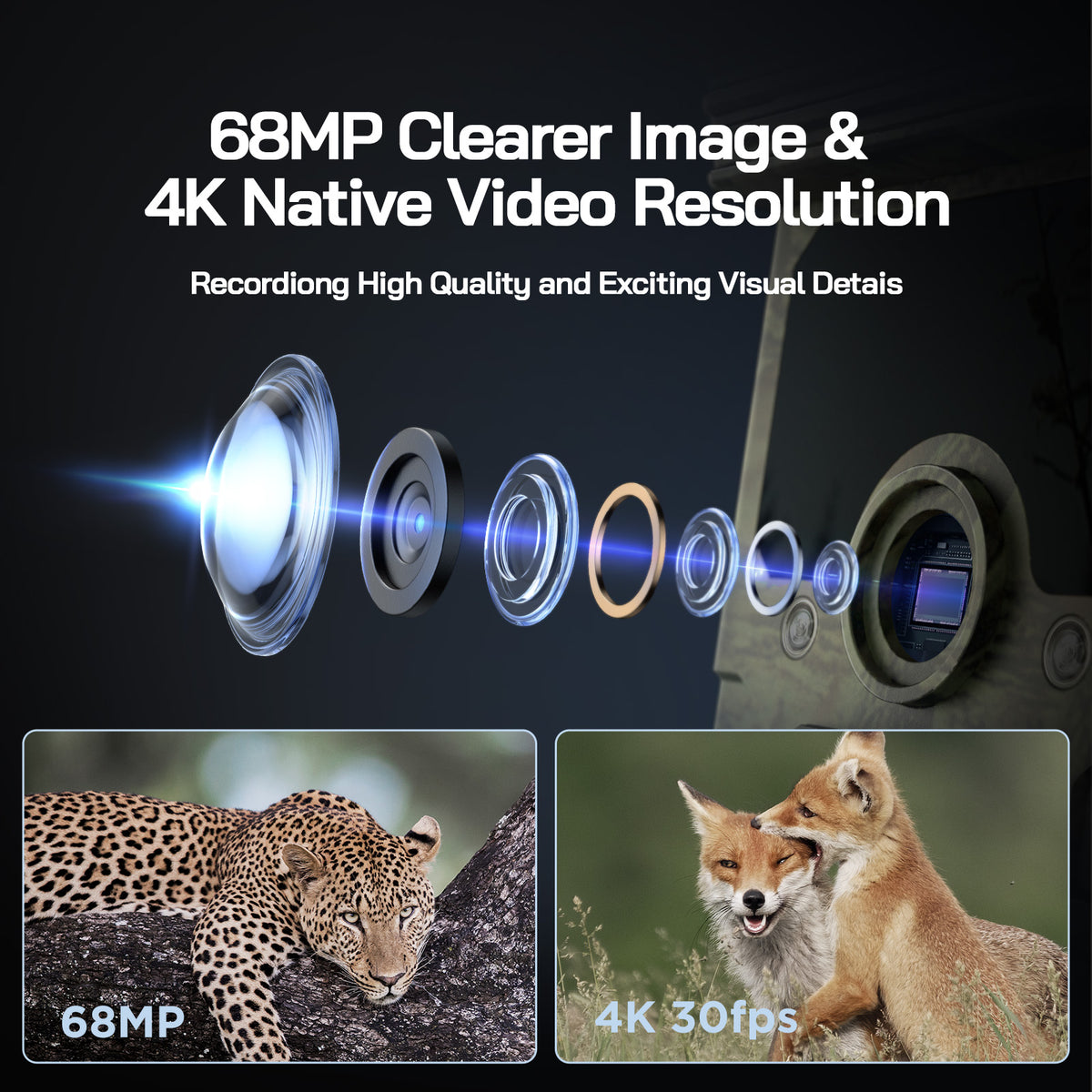 WT03S – WOLFANG Official