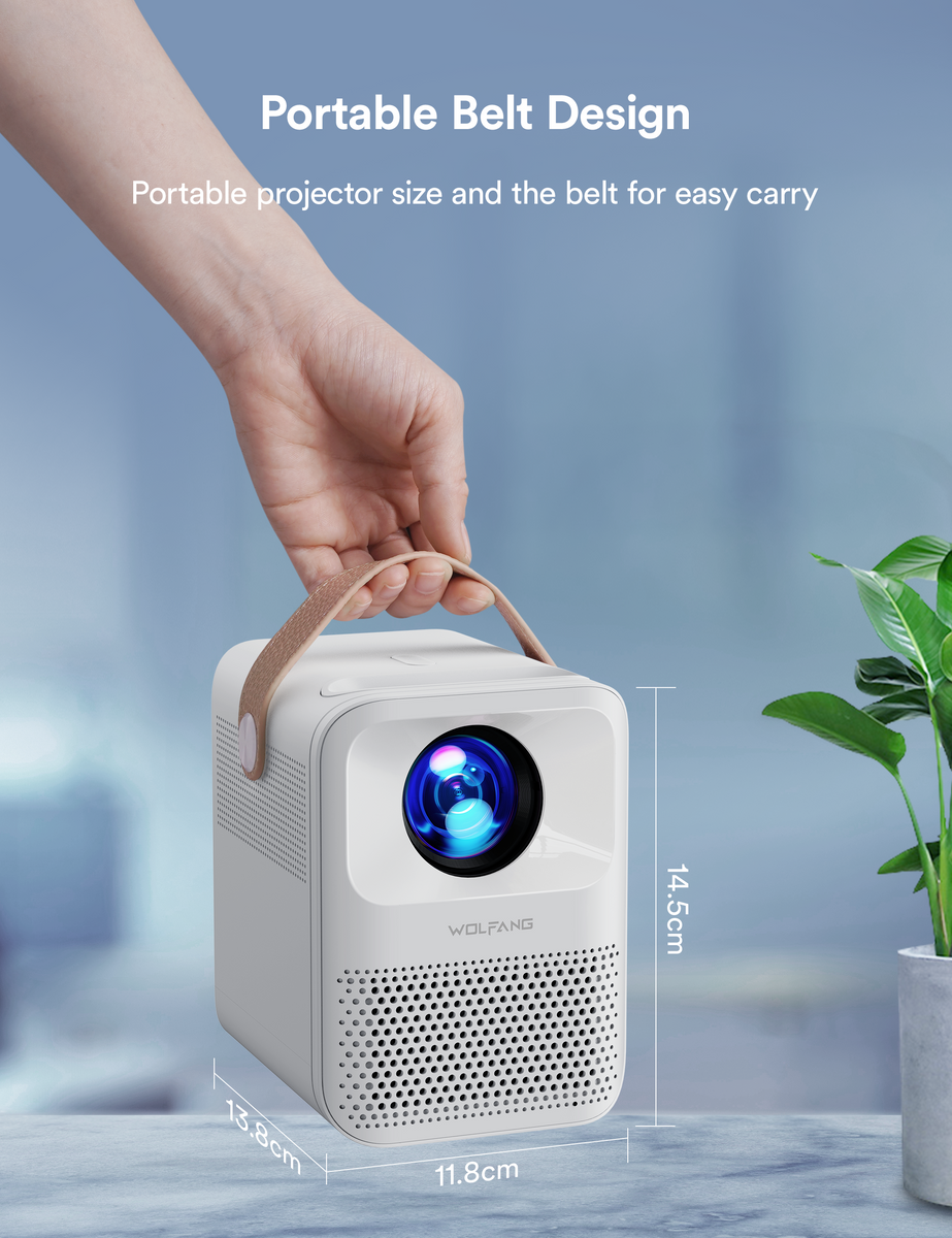 WP01 – WOLFANG Official