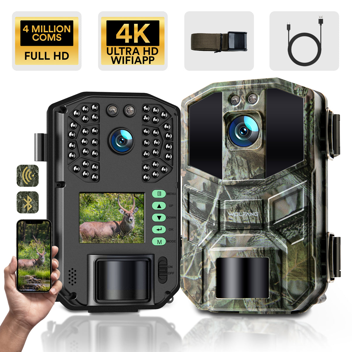 WT05 – WOLFANG Official