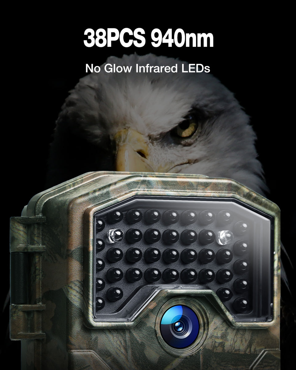 WT01 – WOLFANG Official